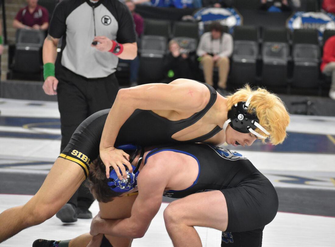 Kamm, Slater earn 2nd-place Class A state medals for LCWMA | News ...